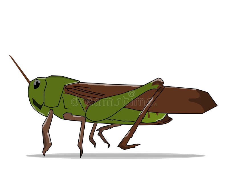 Illustration of a Small Grasshopper, an Insect that Usually Eats the ...