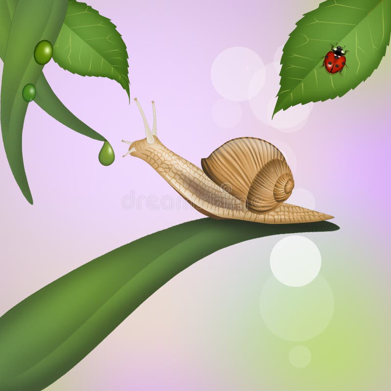 Snail on leaf stock illustration. Illustration of season - 150375399