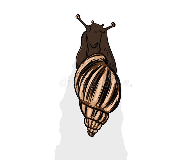 Illustration of a Snail Running Stock Illustration - Illustration of ...