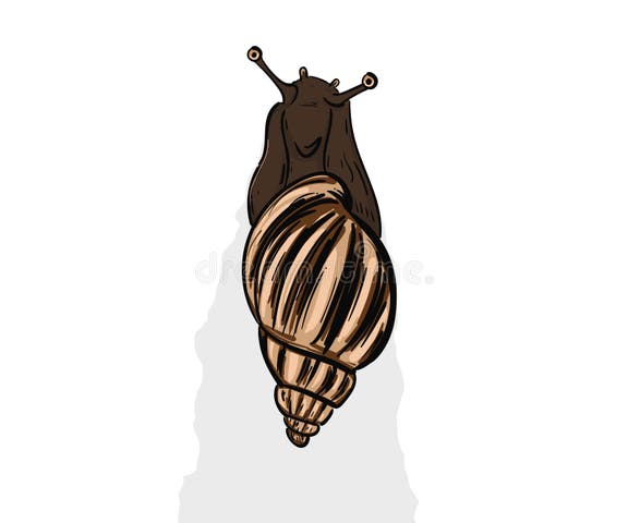 Illustration of a Snail Running Stock Illustration - Illustration of ...