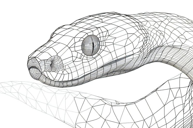 Snake in the Form of a Wireframe Stock Illustration - Illustration of ...
