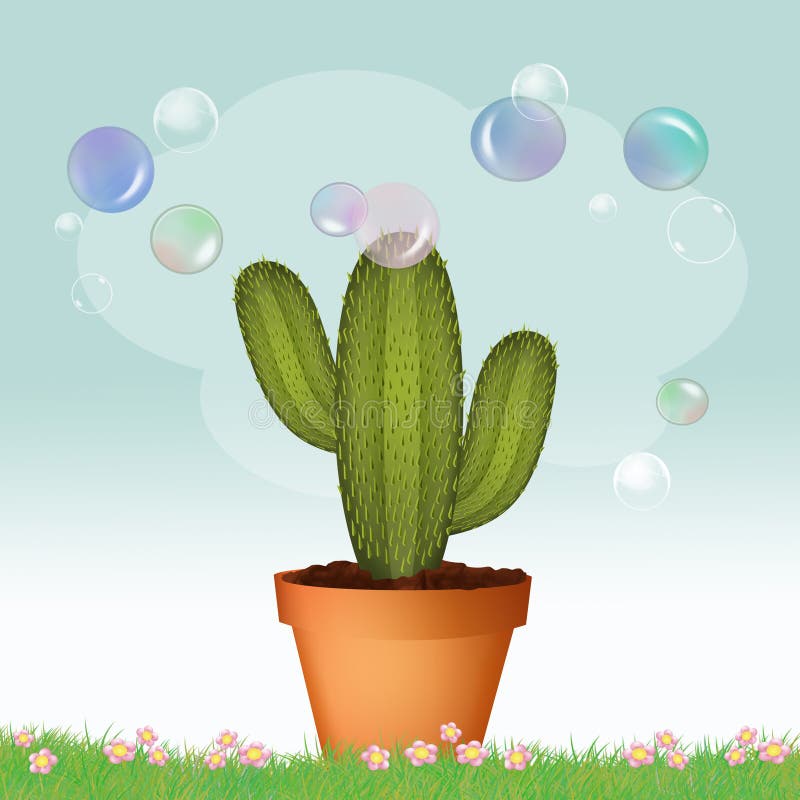 Soap Bubbles on Cactus Plant Stock Illustration - Illustration of ...