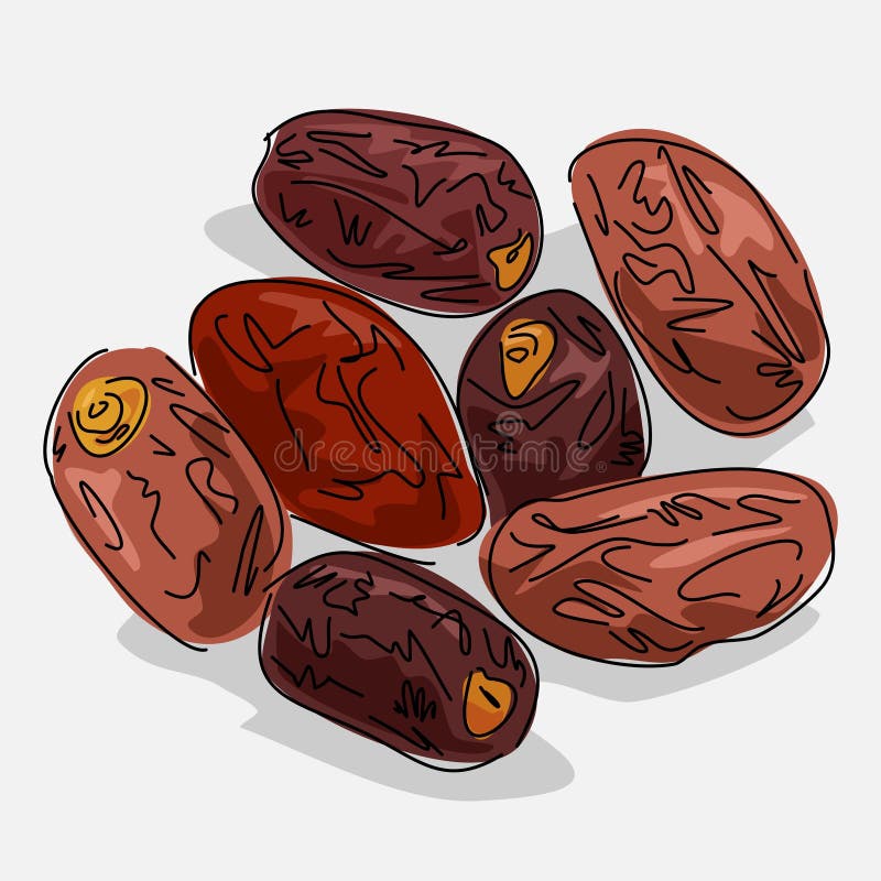 Illustration of Some Dates Fruit. Hand Drawn Vector Illustration. Stock ...