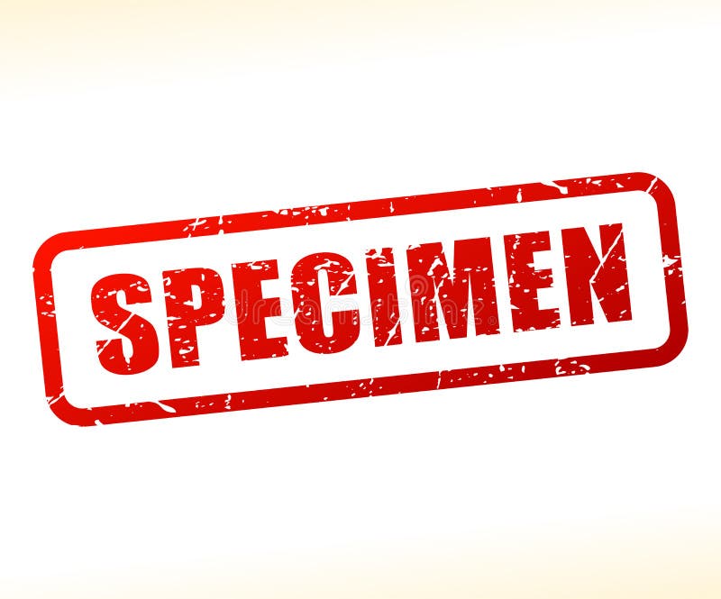 Specimen text stamp stock vector. Illustration of pattern - 107568242