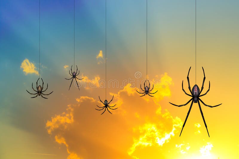 Spiders at sunset stock illustration. Illustration of party - 99274953