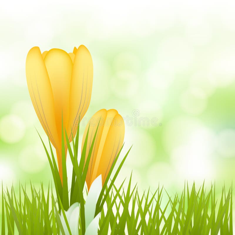 Early Spring Flowers Stock Illustrations – 1,859 Early Spring Flowers ...