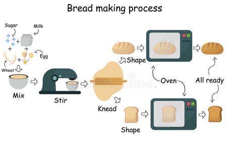 Illustration of the Stages of Bread Making Stock Vector - Illustration ...