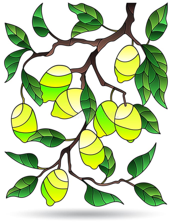An Illustration of Stained Glass Windows with Lemon Leaves and Fruit ...