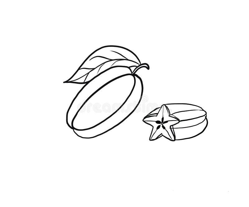 Illustration of Star Fruit Coloring for Kid Stock Illustration ...