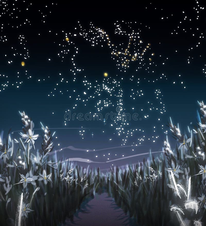 Illustration of a Starry Sky Over a Field Stock Illustration ...