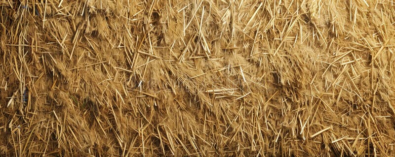 Illustration of Straw Wall Texture. Generative AI Stock Illustration ...
