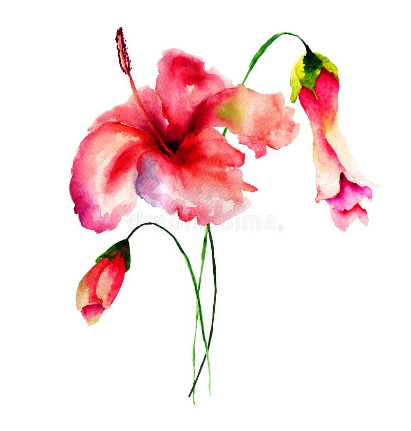 Illustration Aquarelle De Fleurs Stylisées Illustration Stock ...