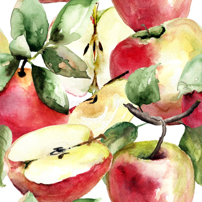 Illustration Stylisée De Pomme D'aquarelle Illustration Stock ...