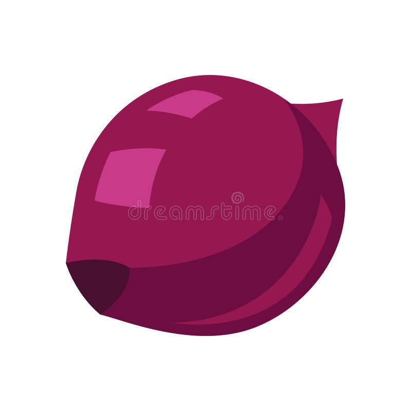 Stylized Onion Isolated Illustration Stock Vector - Illustration of ...