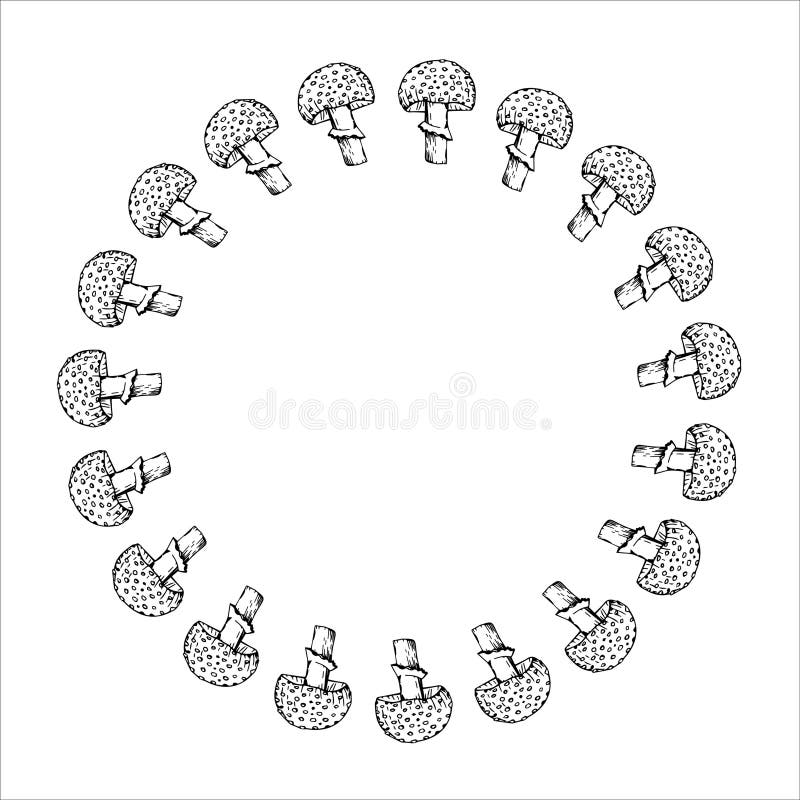 Round Frame Made of Hand-drawn Mushroom in Black Ink on a White ...