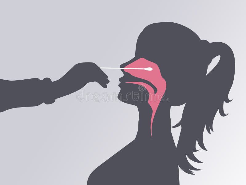 Illustration of Swab Testing for Virus Stock Illustration ...