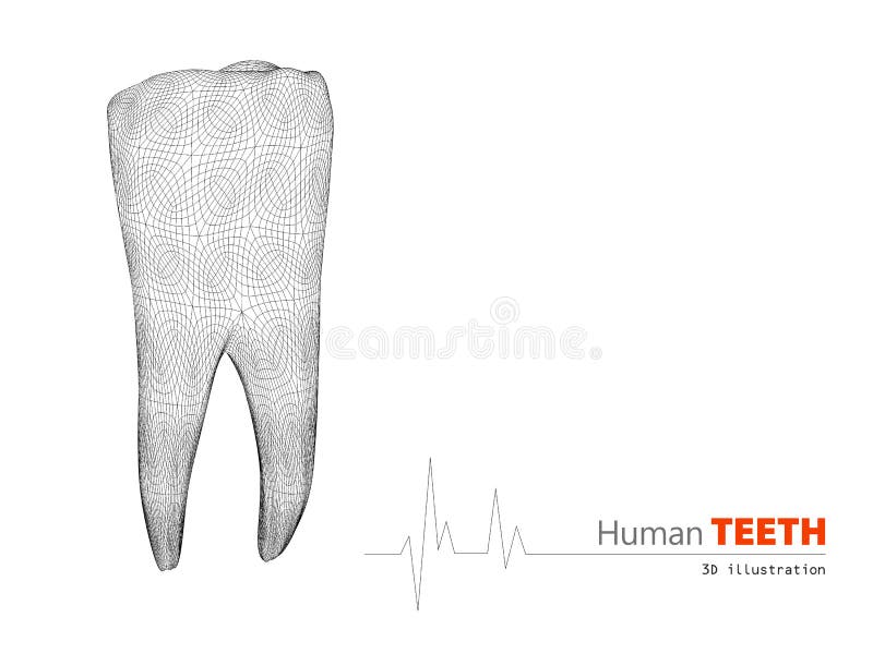 Illustration of Teeth , Medicine and Health Concept Design Element ...