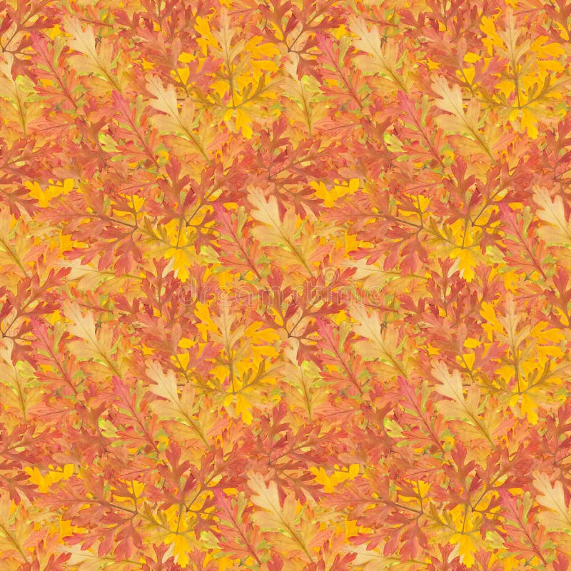 Illustration, Texture of Flowers. Seamless Pattern for Continuous ...