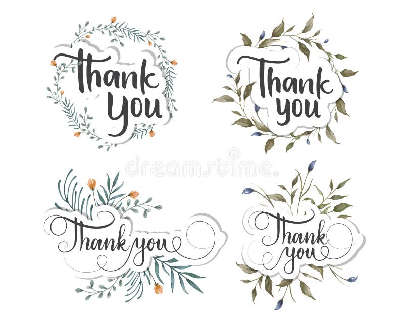 Thank You Script Decorated by Watercolor Floral Illustration Stock ...