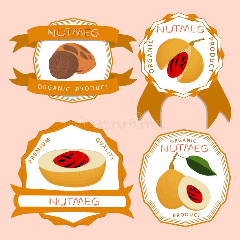 Set Different Types Spice Stock Illustrations – 288 Set Different Types ...