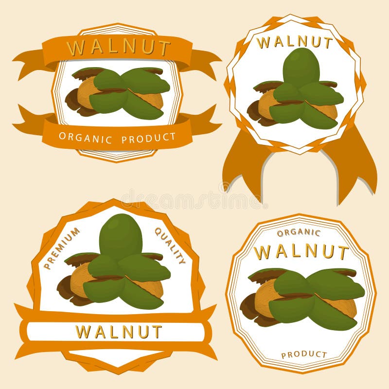 Illustration on Theme Big Set Different Types Walnut in Nutshell Stock ... Illustration on Theme Big Set Different Types Walnut in Nutshell Stock ...