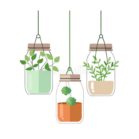 Illustration of Three Hanging Mason Jars Containing Plants and Decorative Elements Stock Vector ...
