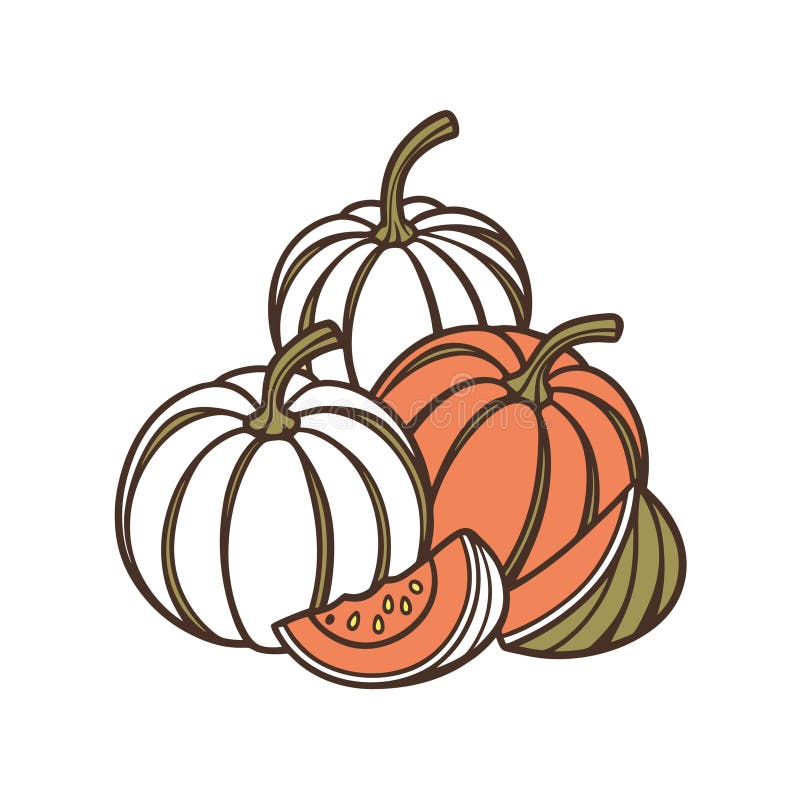 Stylized Pumpkins with Slice on White Background Illustration Stock ...