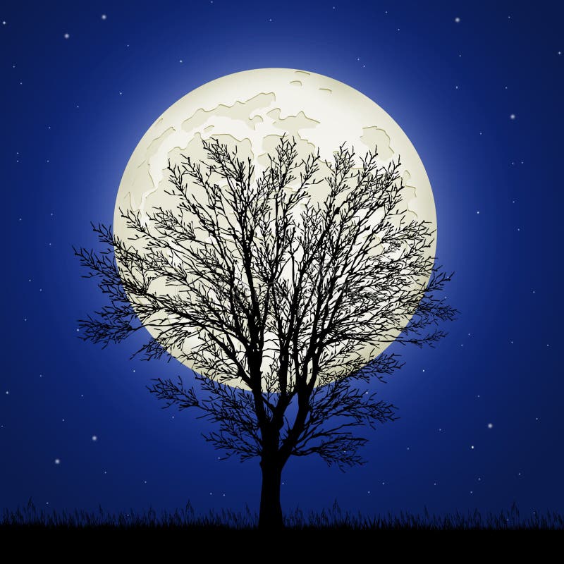 Tree in the moonlight stock illustration. Illustration of blue - 258807252
