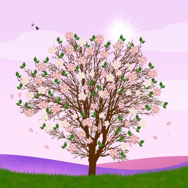 Tree in spring stock illustration. Illustration of season - 98429406