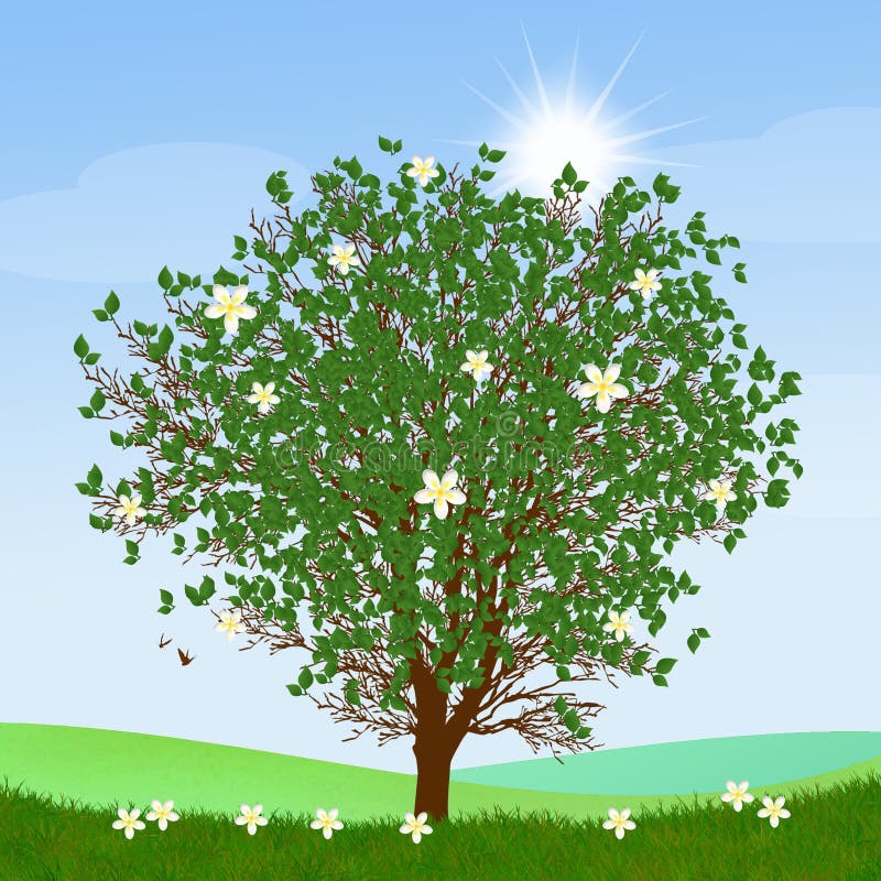 Tree in summer stock illustration. Illustration of snow - 98429726