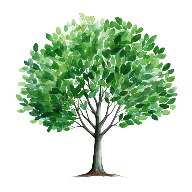 Illustration of Tree on White Background. Generative Ai Stock ...