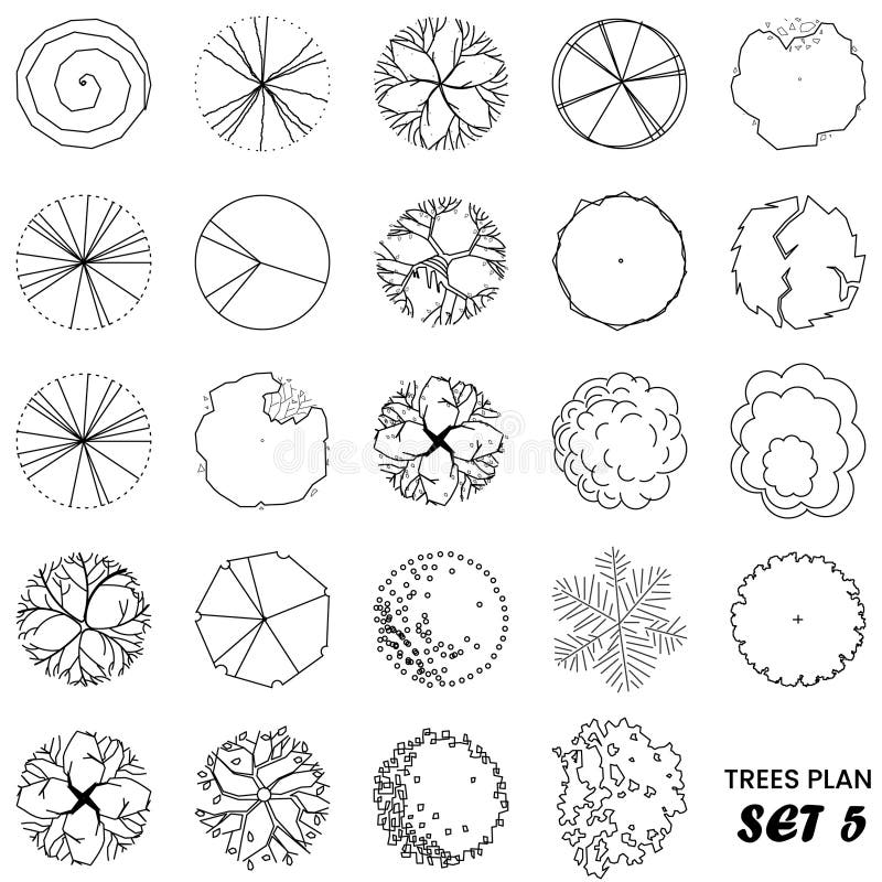 Illustration of Trees Plan Hand Drawn for Architectural and Landscape ...
