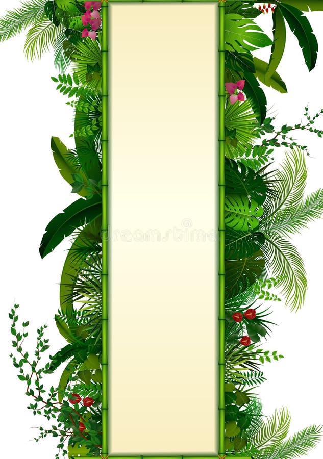 Tropical Leaves Background. Rectangle Plants Frame Bamboo with Space ...