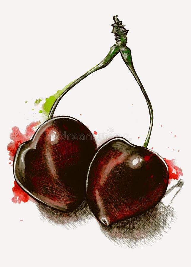 Illustration of Two Cherries Stock Illustration - Illustration of ...
