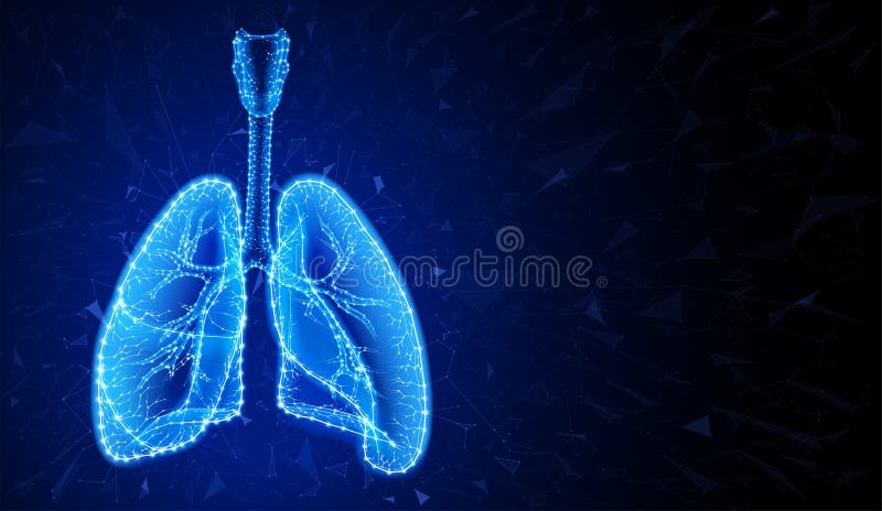 Illustration of Two Human Lungs in a Modern Style Using Geometric ...