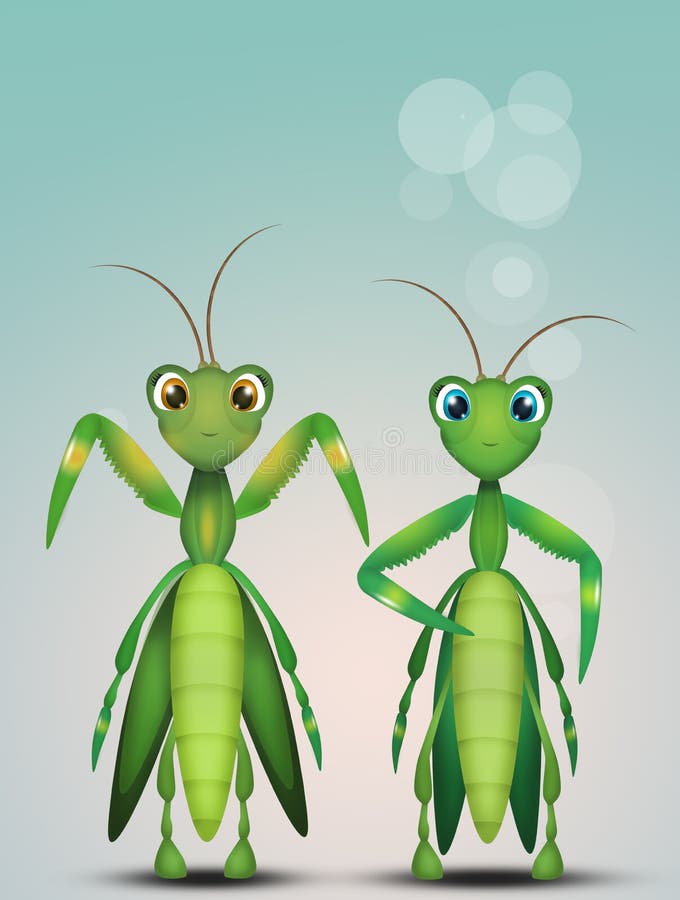 Two mantis couple stock illustration. Illustration of camouflage ...
