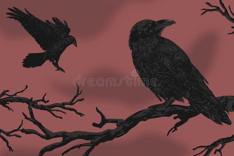 A Illustration of Two Ravens Against Red Sky Stock Illustration ...