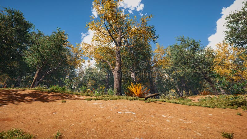 Illustration of an Undergrowth with a Biome Rich in Vegetation on a ...