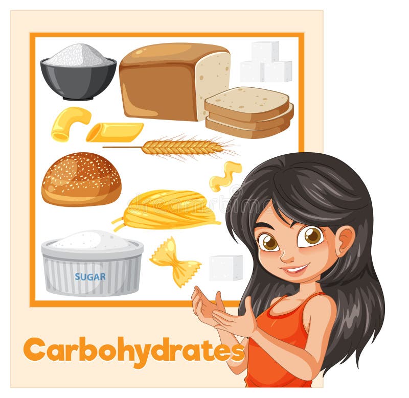Various Carbohydrate-rich Foods Stock Vector - Illustration of bread ...