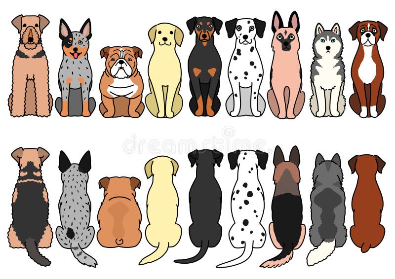 Large Dogs Sitting in a Row Stock Vector - Illustration of pets, animal ...
