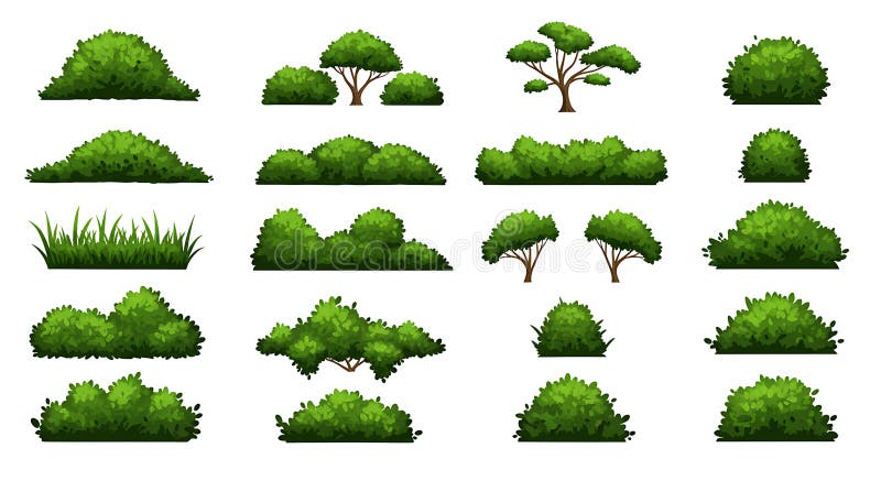 Illustration of Various Types of Shrubs and Bushes, Each with Distinct ...