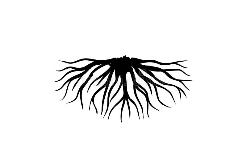 Illustration Vector Graphic of Abstract Life Root on White Background ...