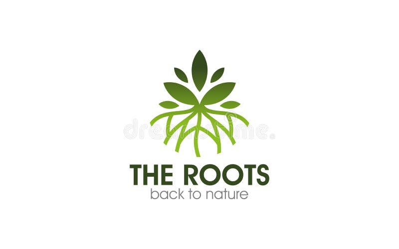 Illustration Vector Graphic of Abstract Life Root on White Background ...