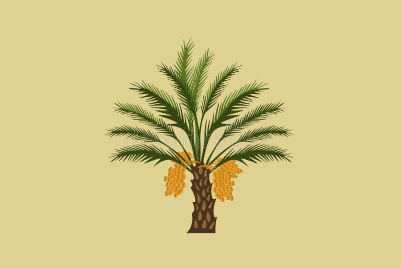 Date Palm Tree Vector Illustration Stock Vector - Illustration of ...