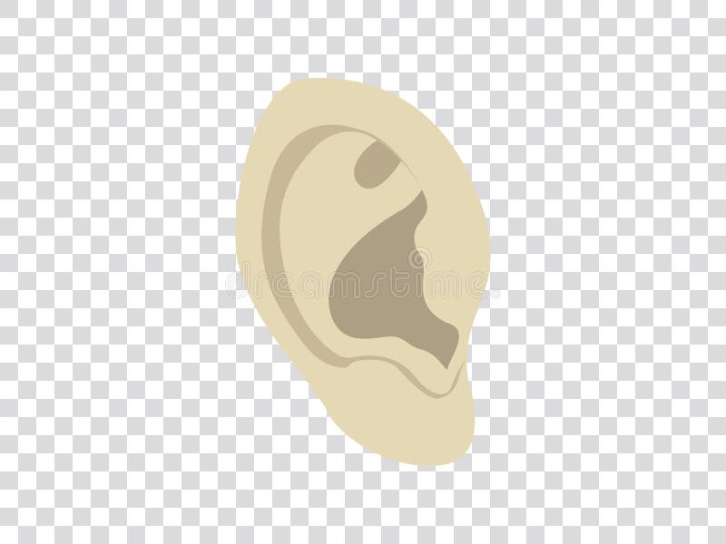Ear Human Transparent Background Stock Illustrations – 280 Ear Human ...