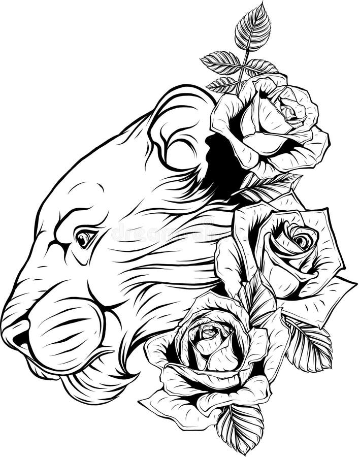 Illustration Vector of Lion Head Outline Design Stock Vector ...