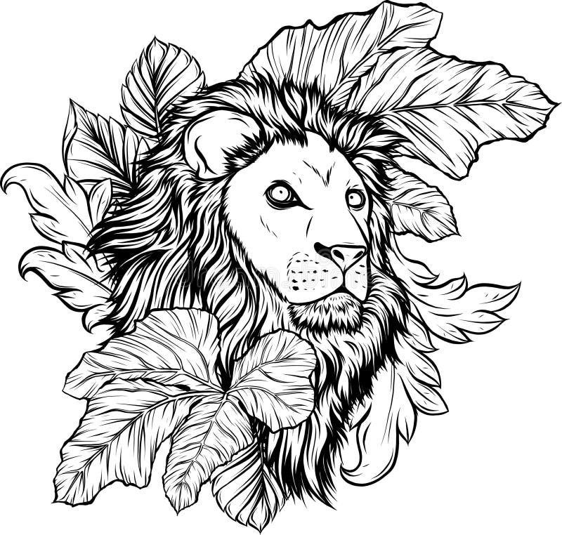 Illustration Vector of Lion Head Outline Design Stock Vector ...