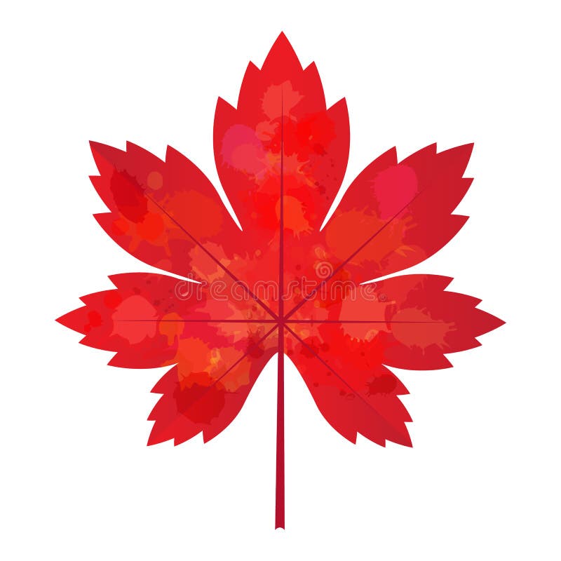 Illustration of Vector Maple Leaf in Grunge Style Stock Vector ...