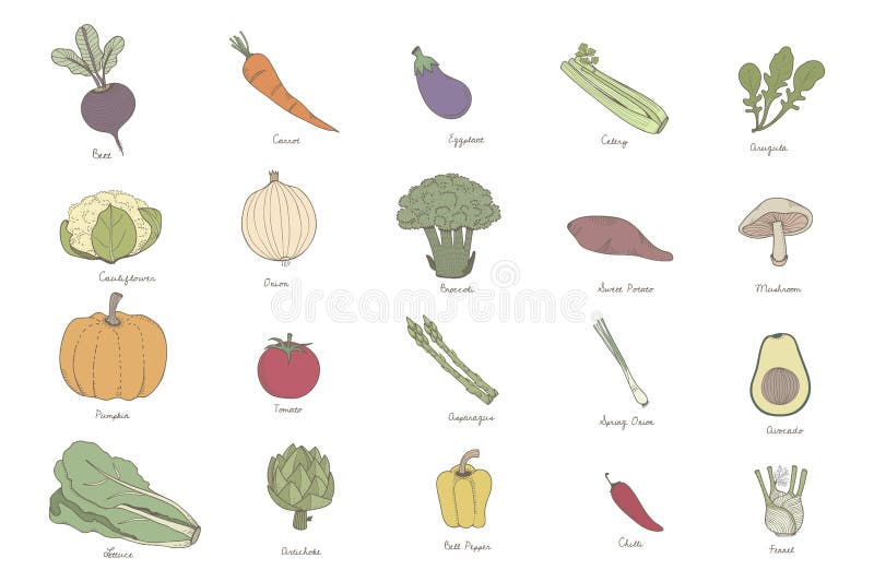 Illustration of Vegetable Types Isolated Stock Illustration ...