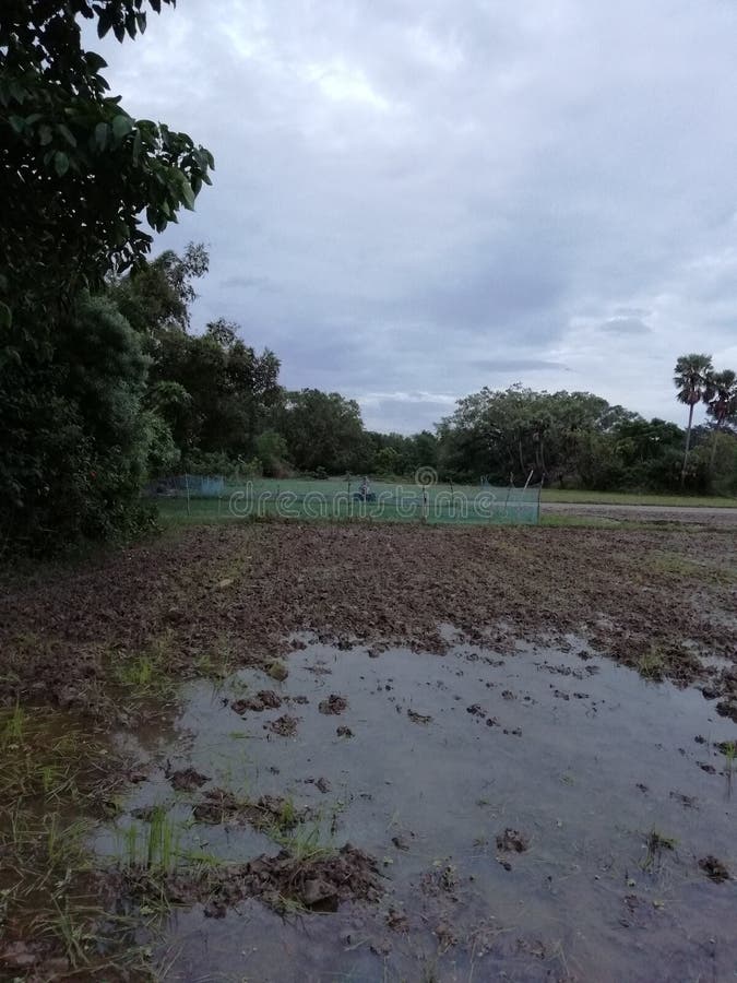 Illustration, Village Farming in the Remote Area Stock Image - Image of ...